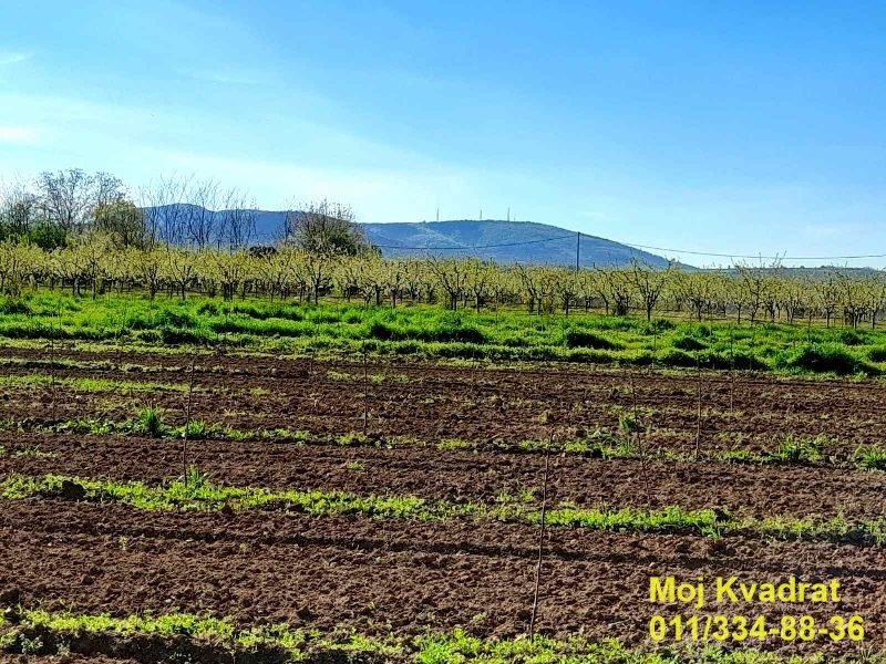 Prodaja plac, 23.717m² 250.000€ Beograd, Mladenovac, Gajska • Moj ...